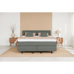Die PlanBar Boxspringbett &raquo;OC-ON23163&laquo; inkl. Matratzen, Topper u. Bonellfederkern Unterbau, 160/180x200cm 100% Polyester Polyester, Liegefl&auml;che B/L: 