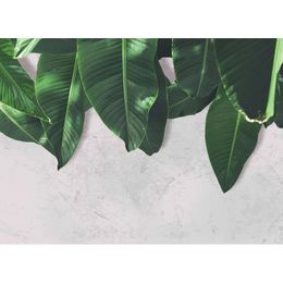 Livingwalls living walls Fototapete &raquo;Designwalls Leaves Wall 2&laquo; glatt Vlies, Wand, Schr&auml;ge, Decke gr&uuml;n Vlies B/L: 3,5m x 2,55m