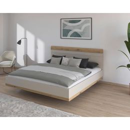 Rauch Futonbett &raquo;Bett Doppelbett Holzbett SAJO&laquo; mit Farb-Absetzungen in komfortabler Sitzh&ouml;he MADE IN GERMANY beige Liegefl&auml;che L&auml;nge B: 200cm x 180cm