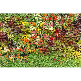 papermoon Fototapete &raquo;BLUMEN-ABSTRAKT MUSTER GARTEN PFLANZEN DEKOR NATUR&laquo; bunt Vlies B/L: 4,5m x 2,8m, Bahnen: 9 Stk.