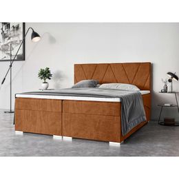 Home Affaire Bett &raquo;Liania mit Matratze und Topper, in 2 Breiten (160 und 180 cm)&laquo; Boxspringbett mit Bettkasten, Matratze (BFK/TFK) und Topper orange 
