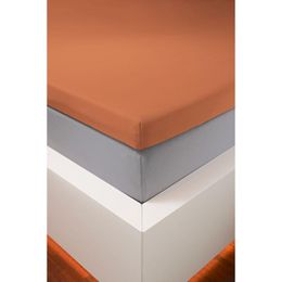 bellana Spannbettlaken &raquo;bellana deluxe f&uuml;r Topper, mit Elasthan, Premium Jersey 230 g/m&sup2;&laquo; mit 5% Elasthan, f&uuml;r Topper mit 4-10cm H&ouml;he, b&uuml;gelfrei, 
