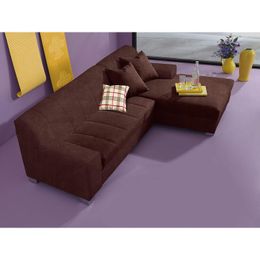 Home Affaire Ecksofa &raquo;Anzio, elegant und gem&uuml;tlich, Breite 239cm, L-Form&laquo; wahlweise mit Bettfunktion braun B/H/T: 239cm x 75cm x 82cm, Microfaser 