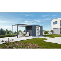 BioHort Ger&auml;tehaus-Anbaudach grau Stahlblech Einheitsgr&ouml;&szlig;e