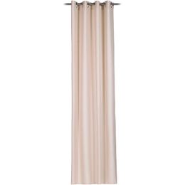 G&ouml;zze Vorhang &raquo;Linus &Ouml;senschal&laquo; &Ouml;sen 1 Stk. tlg. HxB: 245x140, Uni Panamagewebe beige Polyester 245cm, &Ouml;sen, 140cm