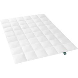 fan G&auml;nsedaunenbettdecke &raquo;f.a.n. Island&laquo; normal 1 Stk. tlg. wei&szlig; Bezug: 100% Baumwolle. F&uuml;llung: 100% G&auml;nsedaunen B/L: 155cm x 220cm, normal