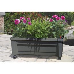 KHW Pflanzk&uuml;bel Pflanzkasten auf Rollen mit Bew&auml;sserungssystem, BxTxH: 79x35x33 cm grau Kunststoff B/H/T: 79cm x 33cm x 35cm