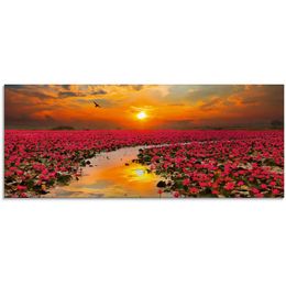 Artland Glasbild &raquo;Sonnenschein bl&uuml;hende Lotusblume&laquo; Blumen 1 Stk. tlg. in verschiedenen Gr&ouml;&szlig;en orange B/H/T: 125cm x 50cm, Glasbild Blumen, 1 Stk.