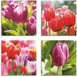 Artland Leinwandbild &raquo;Fr&uuml;hling und Tulpen&laquo; Blumen 4 Stk. tlg. 4er Set, verschiedene Gr&ouml;&szlig;en pink Leinwand, MDF B/H/T: 30cm x 30cm, Leinwandbild Blumen 