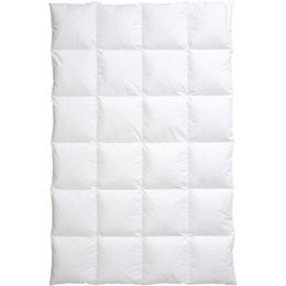 Centa Star Daunenbettdecke &raquo;Nordic&laquo; warm F&uuml;llung 90Daunen10Federn 1 Stk. tlg. hochwertiges Naturprodukt mit hervorragendem W&auml;rmeverm&ouml;gen wei&szlig; Bezug: 100% 