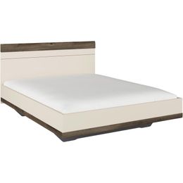 Rauch Futonbett &raquo;Bett Doppelbett Holzbett SAJO&laquo; mit Farb-Absetzungen in komfortabler Sitzh&ouml;he MADE IN GERMANY beige Liegefl&auml;che L&auml;nge B: 200cm x 160cm