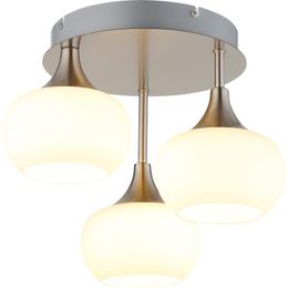 NOWA Deckenleuchte &raquo;LUI&laquo; LED-Modul 1 Stk. Warmwei&szlig; Elegante Deckenleuchte mit LED, modern, hell & schlicht wei&szlig; 1, &Oslash; 15cm H: 28,5cm, 1 Stk.