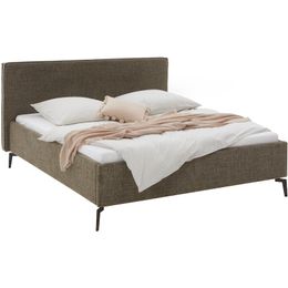 Meise M&ouml;bel meise.m&ouml;bel Polsterbett &raquo;Riva II&laquo; mit schwarzen Metallf&uuml;&szlig;en, wahlweise mit Bettkasten gr&uuml;n Liegefl&auml;che L&auml;nge B: 200cm x 160cm, Strukturstoff inkl. 