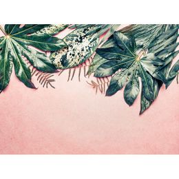 Livingwalls living walls Fototapete &raquo;Designwalls Leaves Variety 1&laquo; glatt Vlies, Wand, Schr&auml;ge, Decke gr&uuml;n Vlies B/L: 3,5m x 2,55m