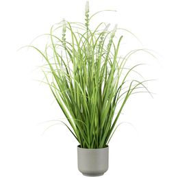 Creativ green Kunstgras &raquo;Grasbusch mit Salvienbl&uuml;ten&laquo; mit detailgetreuen Bl&uuml;ten und Grashalmen gr&uuml;n Kunststoff B/H/L: 60cm, 1 Stk.