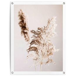 Reinders Poster &raquo;Pampasgras&laquo; Outdoor f&uuml;r Garten oder Balkon beige Leinwand B/H/T: 60cm x 80cm x 0,1cm