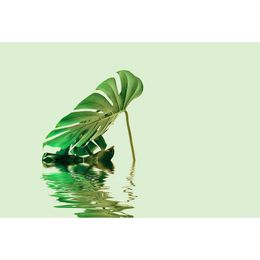 Livingwalls living walls Fototapete &raquo;ARTist Monstera Leaf Water&laquo; Vlies, Wand, Schr&auml;ge gr&uuml;n Vlies B/L: 4m x 2,7m