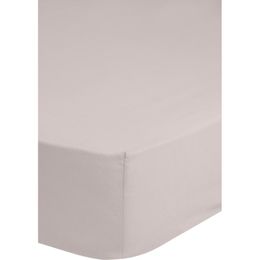 Good Morning Spannbettlaken &raquo;Renforc&eacute; &laquo; 100% Baumwolle, Renforc&eacute;, Rundumgummi, bis 25 cm h&ouml;he, 80x200, Wei&szlig; beige Renforc&eacute;, Obermaterial: 100% 