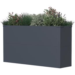 WESTMANN Pflanzk&uuml;bel &raquo;Metall &raquo;Talus&laquo; in S, M, L oder XL&laquo; Anthrazit, in verschiedenen Gr&ouml;&szlig;en erh&auml;ltlich grau Stahl B/H/T: 100cm x 52cm x 25cm
