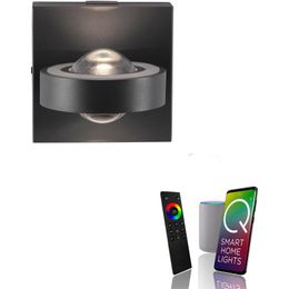 Neuhaus Q SMART HOME LIGHTS LED Wandleuchte &raquo;Q-MIA&laquo; LED-Board 1 Stk. warmwei&szlig; - kaltwei&szlig; schwarz 2, H: 12,5cm, 1 Stk.
