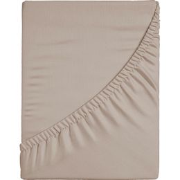 CASATEX Spannbettlaken &raquo;Jersey-Elasthan&laquo; mit Elasthan braun Jersey, Obermaterial: 96% Baumwolle, 4% Elasthan 1 Stk., Jersey, 140-160x200-220 25cm