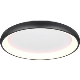 Trio Leuchten LED Deckenleuchte &raquo;CARDONA, runde LED Deckenlampe B&uuml;ro, &Oslash; 75cm, 6900 Lumen 59W, dimmbar&laquo; LED-Board 1 Stk. warmwei&szlig; - kaltwei&szlig; CCT - 
