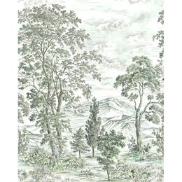 Komar Vliestapete &raquo;Digitaldruck Vlies - Forest Fairy - Gr&ouml;&szlig;e 200 x 250 cm&laquo; bedruckt glatt Wohnzimmer, Schlafzimmer gr&uuml;n Vlies B/L: 200m x 250m, Rollen: 1