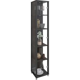 Fif M&ouml;bel fif m&ouml;bel Vitrine &raquo;OPTIMA&laquo; Standvitrine, Vitrinenschrank, Glasvitrine, Sammlervitrine schwarz Holzwerkstoff, Sicherheitsglas ESG B/H/T: 31,5cm x 172cm