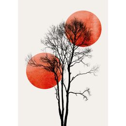 Livingwalls living walls Fototapete &raquo;ARTist Sun and Moon&laquo; Vlies, Wand, Schr&auml;ge rot Vlies B/L: 2m x 2,8m