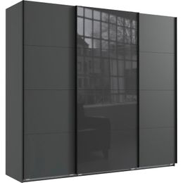 wimex Schwebet&uuml;renschrank &raquo;Norderstedt&laquo; INKLUSIVE 2 Stoffboxen und 2 zus&auml;tzliche Einlegeb&ouml;den, mit Glast&uuml;r grau Holzwerkstoff Graphit, B/H/T: 225cm x 210cm 