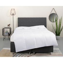 OTTO home Daunenbettdecke &raquo;Cyra, Bettdecke 135x200 cm, 155x220 cm&laquo; leicht F&uuml;llung 70% Daunen und 30% Federn Bezug Baumwolle 1 Stk. tlg. wo besonders 