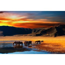 papermoon Fototapete &raquo;Mongolian Horses&laquo; glatt bunt Vlies B/L: 4m x 2,6m, Bahnen: 8 Stk.