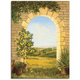 Artland Wandbild &raquo;Zitronenbaum vorm Torbogen II&laquo; Fensterblick 1 Stk. tlg. als Leinwandbild, Poster in verschied. Gr&ouml;&szlig;en bunt B/H/T: 60cm x 80cm, Leinwandbild 