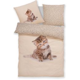 OTTO home Bettw&auml;sche &raquo;Lyki&laquo; 2 Stk. ab Gr&ouml;&szlig;e 135x200 cm, 100% Polyester, Katze, Pferd, L&ouml;we, Pinguin beige Microfaser, Obermaterial: 100% Polyester B/L