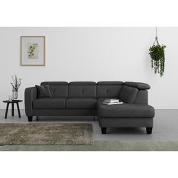 Sit & More sit&more Ecksofa &raquo;Belluci L-Form&laquo; inklusive Federkern, wahlweise mit Schlaffunktion und Bettkasten grau B/H/T: 249cm x 85cm x 195cm, Luxus-Microfaser 