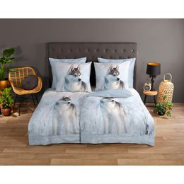 Good Morning Wendebettw&auml;sche &raquo;Sachar&laquo; 2 Stk. Baumwolle, 135x200, Rei&szlig;verschluss, Wendeoptik, Winter, Husky, Blau blau Renforc&eacute;, Obermaterial: 100% 