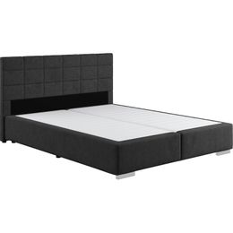 COTTA Boxspringbett &raquo;Simba in verschiedenen Farben und Breiten erh&auml;ltlich, ohne Matratze&laquo; Bezugsstoff: Struktur fein schwarz Polyester Struktur fein 