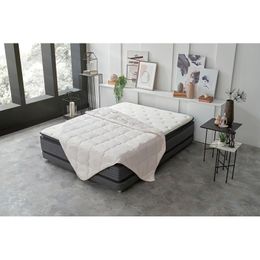 Yatas Bedding Baumwollbettdecke &raquo;Cotton 30, Bettdecke 135x200, 200x200 cm & weitere Gr&ouml;&szlig;en&laquo; normal 1 Stk. tlg. Sommer, Herbst, atmungsaktiv, 