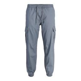 JACK & JONES Cargo Pants 'JPSTKane Dylan' male size 34 Basalt grey