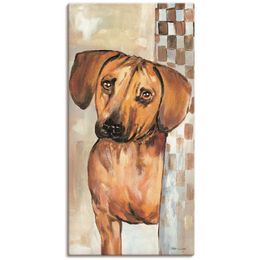 Artland Leinwandbild &raquo;Hund&laquo; Haustiere 1 Stk. tlg. auf Holzrahmen gespannt beige Leinwand B/H/T: 30cm x 60cm, Leinwandbild Haustiere, 1 Stk.