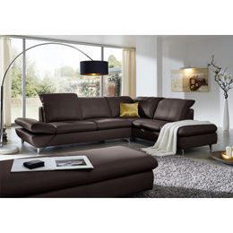 W.Schillig Ecksofa &raquo;Taoo, elegant und zeitlos, bequem, L-Form, Breite 296cm&laquo; mit Sitziefenverstellung & Kopfteilverstellung braun Longlife Xtra-Leder 