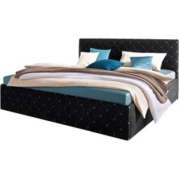 Westfalia Schlafkomfort Polsterbett inkl. Bettkasten bei Ausf&uuml;hrung mit Matratze schwarz Bezug Bett: Microfaser (100% Polyester);Bonnell-Federkernmatratze: 51% Polypropylen, 