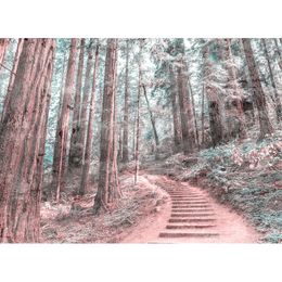 Livingwalls living walls Fototapete &raquo;Designwalls Forest Walk 2&laquo; glatt Vlies, Wand, Schr&auml;ge, Decke gr&uuml;n Vlies B/L: 3,5m x 2,55m