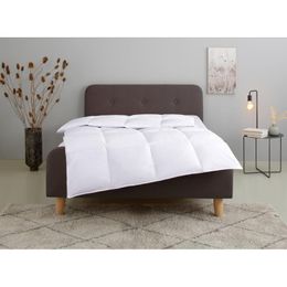 OTTO home Federbettdecke &raquo;Irah Bettdecke 135x200 cm, 155x220 cm und 200x200 cm&laquo; extrawarm F&uuml;llung 50% Daunen & 50% Federn 1 Stk. tlg. Bettdecken, 