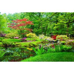 papermoon Fototapete &raquo;GARTEN-BLUMEN B&Auml;UME PFLANZEN STEINE WALD PARK BL&Uuml;TEN&laquo; bunt Vlies B/L: 2,5m x 1,86m, Bahnen: 5 Stk.