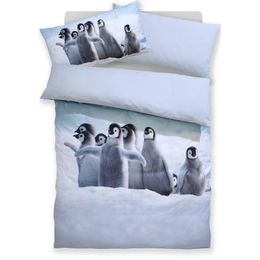 OTTO home Bettw&auml;sche &raquo;Lyki&laquo; 2 ab Gr&ouml;&szlig;e 135x200 cm, 100% Polyester, Katze, Pferd, L&ouml;we, Pinguin bunt Microfaser, Obermaterial: 100% Polyester B/L: 