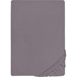 Biberna Spannbettlaken &raquo;Samy&laquo; hochwertiges Jersey-Elasthan f&uuml;r Topper geeignet grau Jersey-Elasthan, Obermaterial: 95% Baumwolle, 5% Elasthan 1 Stk., Jersey-