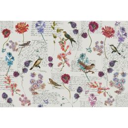 ARCHITECTS PAPER Fototapete &raquo;Atelier 47 Bird Poetry 1&laquo; floral glatt Vlies, Wand, Schr&auml;ge, Decke bunt Vlies B/L: 4m x 2,7m