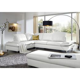 W.Schillig Ecksofa &raquo;Taoo, elegant und zeitlos, bequem, L-Form, Breite 296cm&laquo; mit Sitziefenverstellung & Kopfteilverstellung grau Longlife Xtra-Leder 
