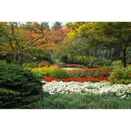 papermoon Fototapete &raquo;Blumen Garten&laquo; bunt Vlies B/L: 4m x 2,6m, Bahnen: 8 Stk.